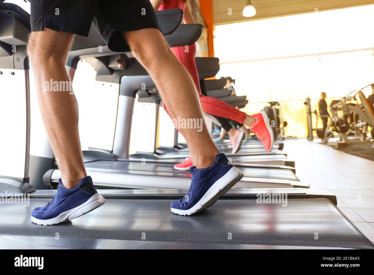 People training on treadmills in gym Stock Photo - Alamy
