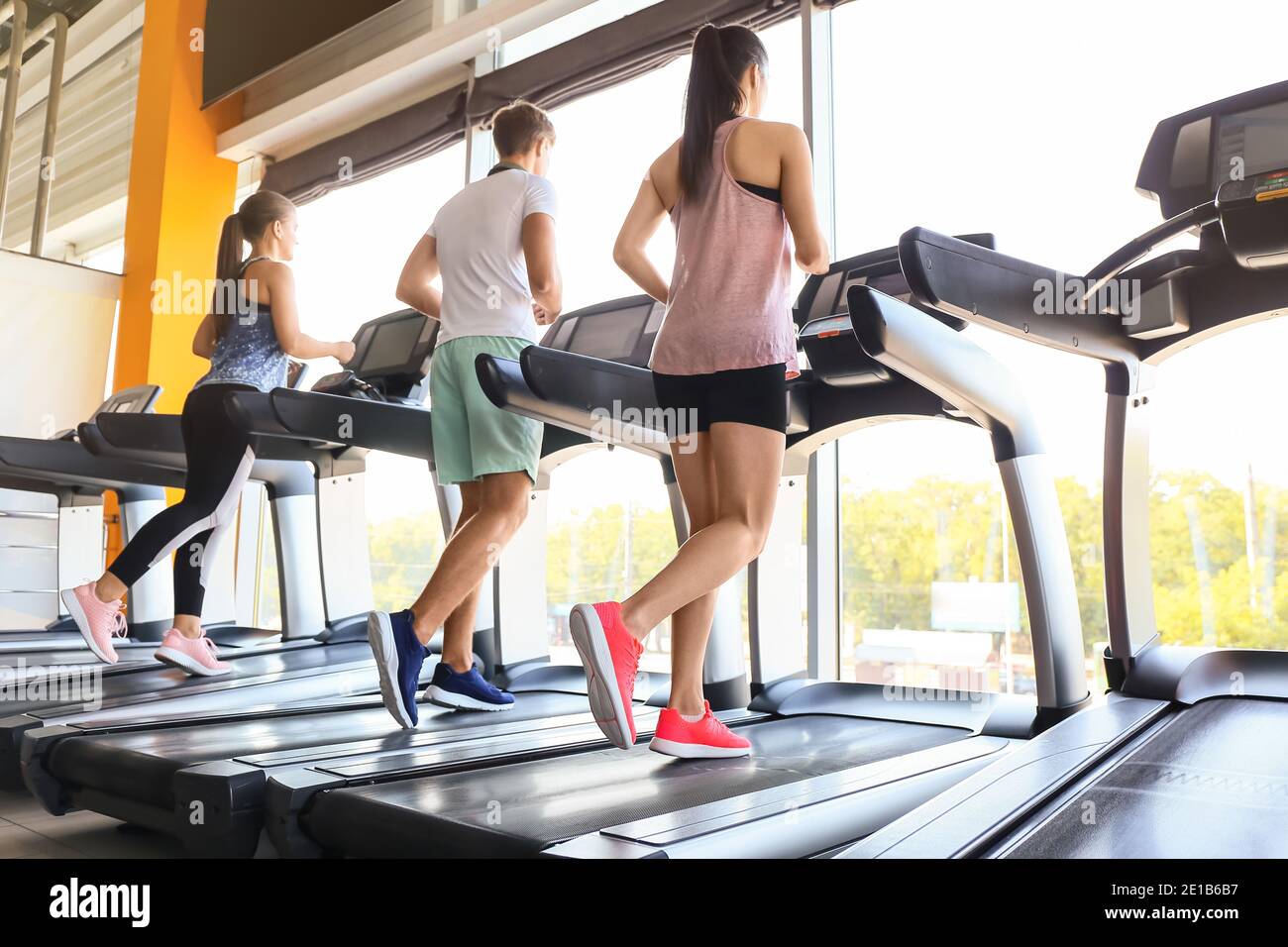 Young people training on treadmills in gym Stock Photo - Alamy