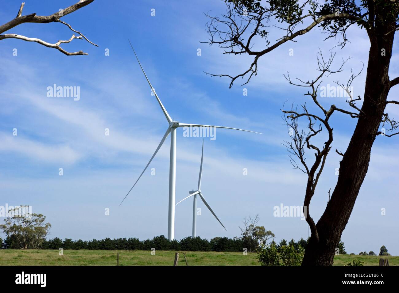 Wind turbines generating electricity from wind energy with trees and ...