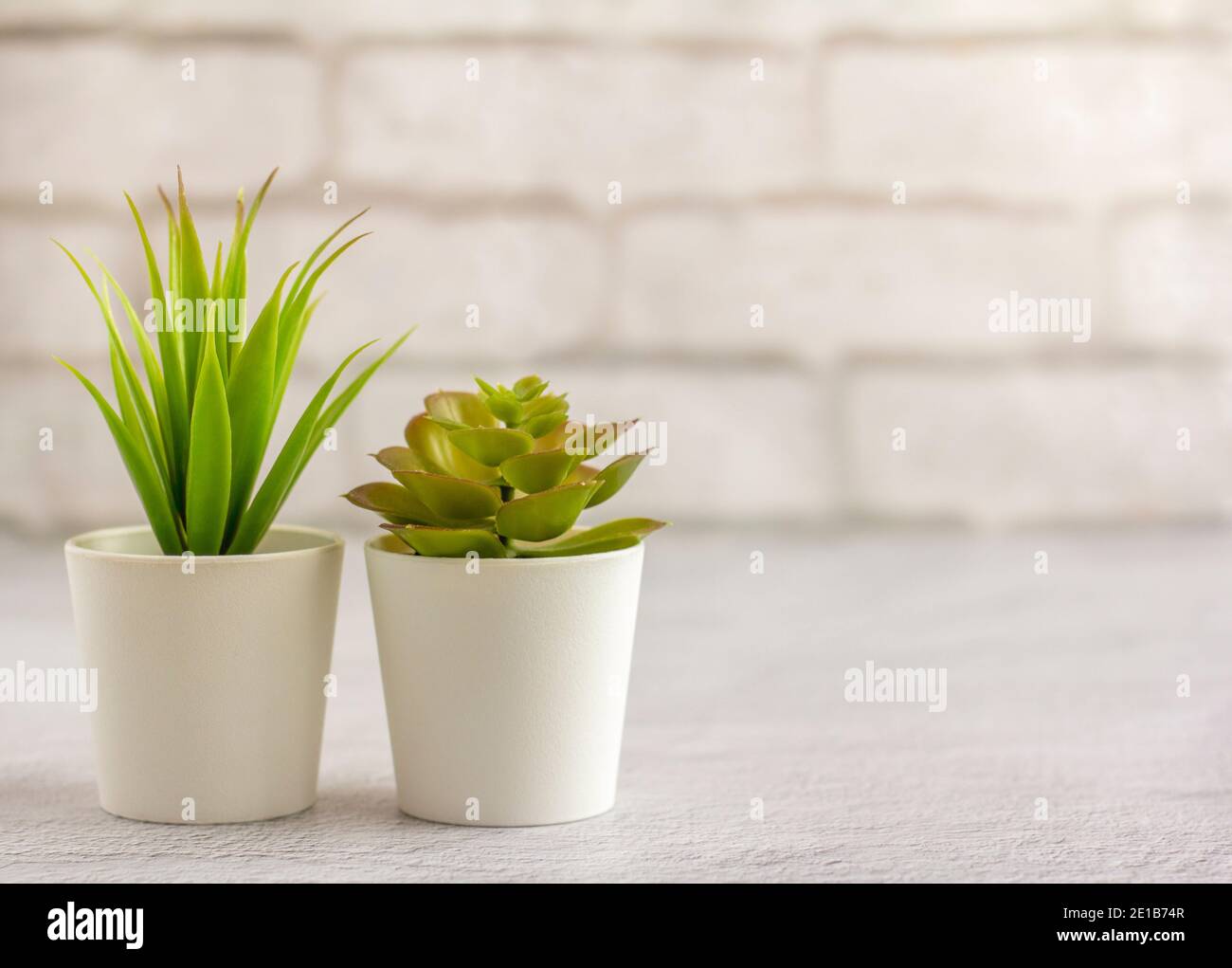 Indoor artificial plants, various succulents in pots. Succulents in ... Indoor artificial plants, various succulents in pots. Succulents in ...