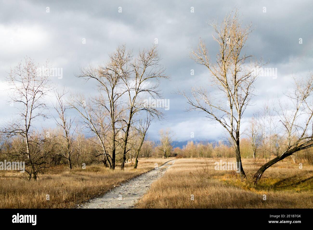 Rural landscape, dirt path through countryside. Italian panorama Stock ...