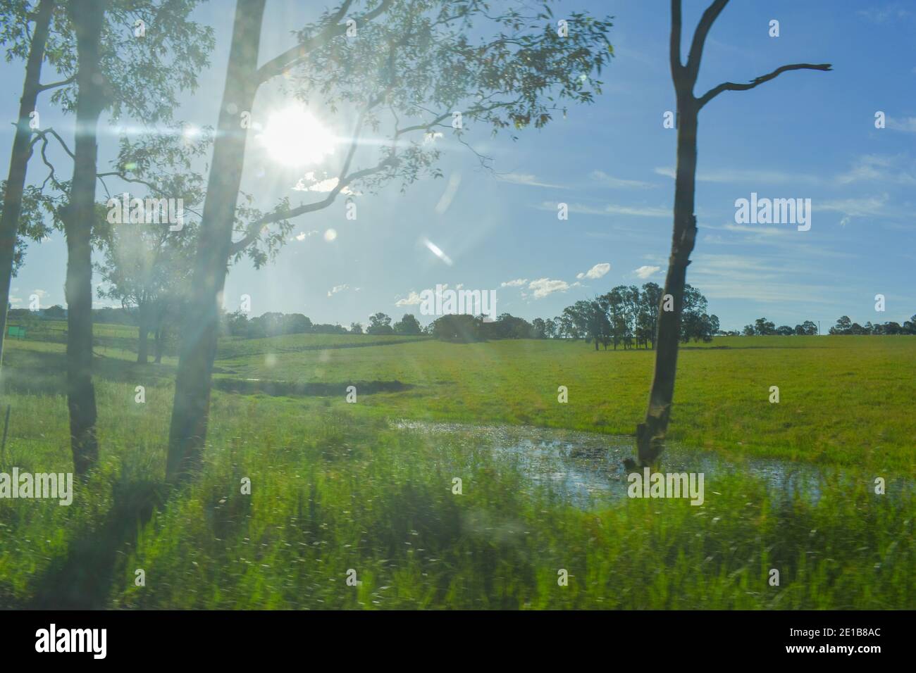 Sun streaming through trees hi-res stock photography and images - Alamy