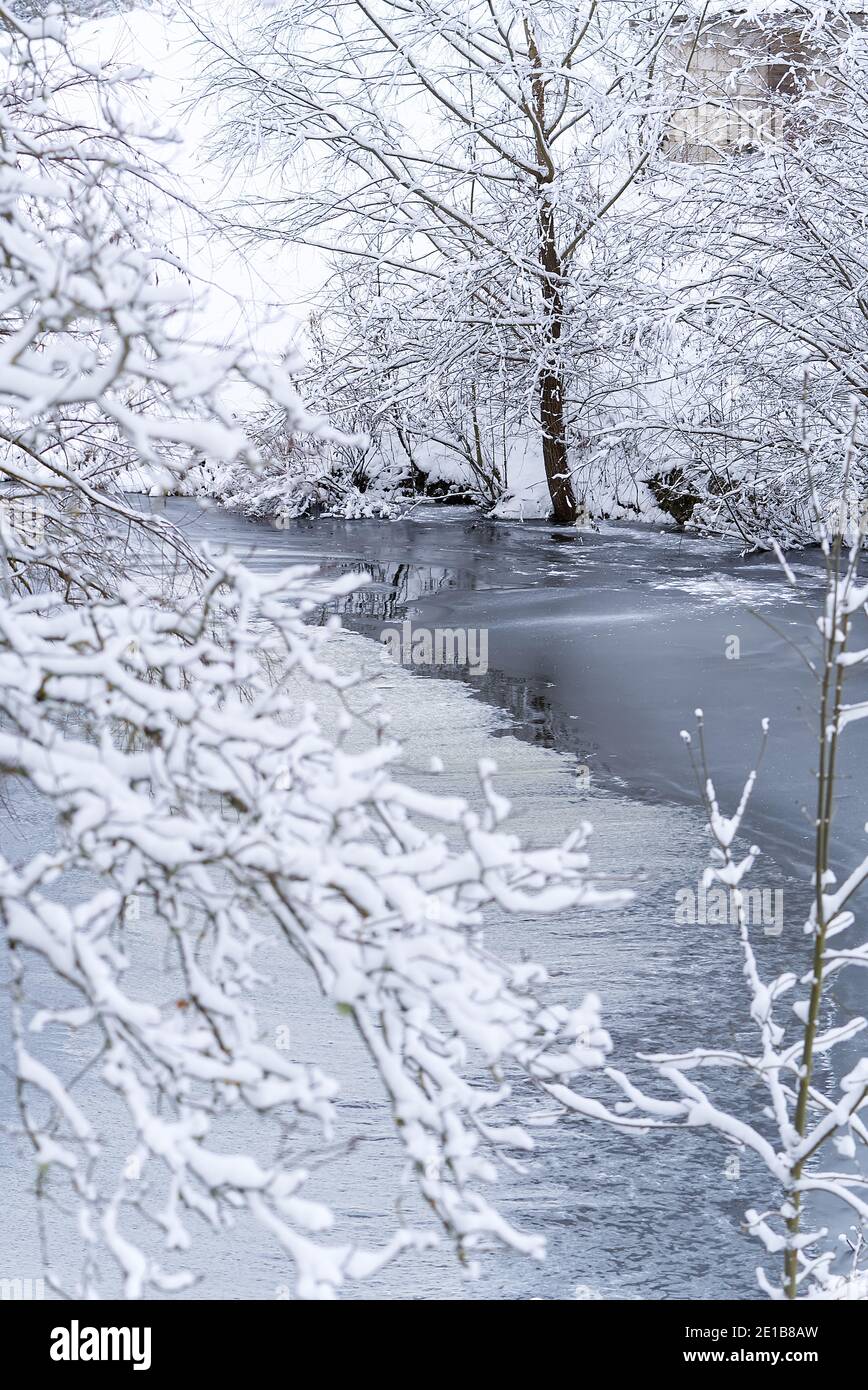 Winter landscape forest and frozen river. tree branch under snow in ...