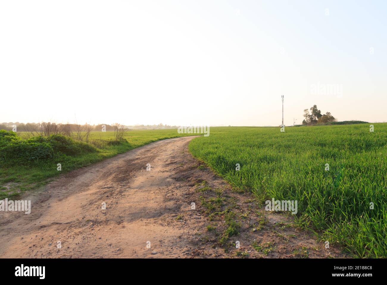 Israeli agriculture hi-res stock photography and images - Alamy