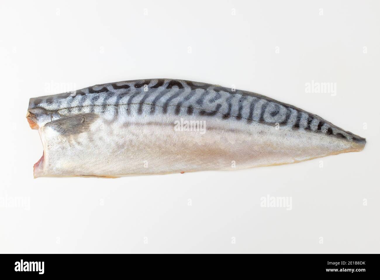 Blue mackerel hi-res stock photography and images - Alamy