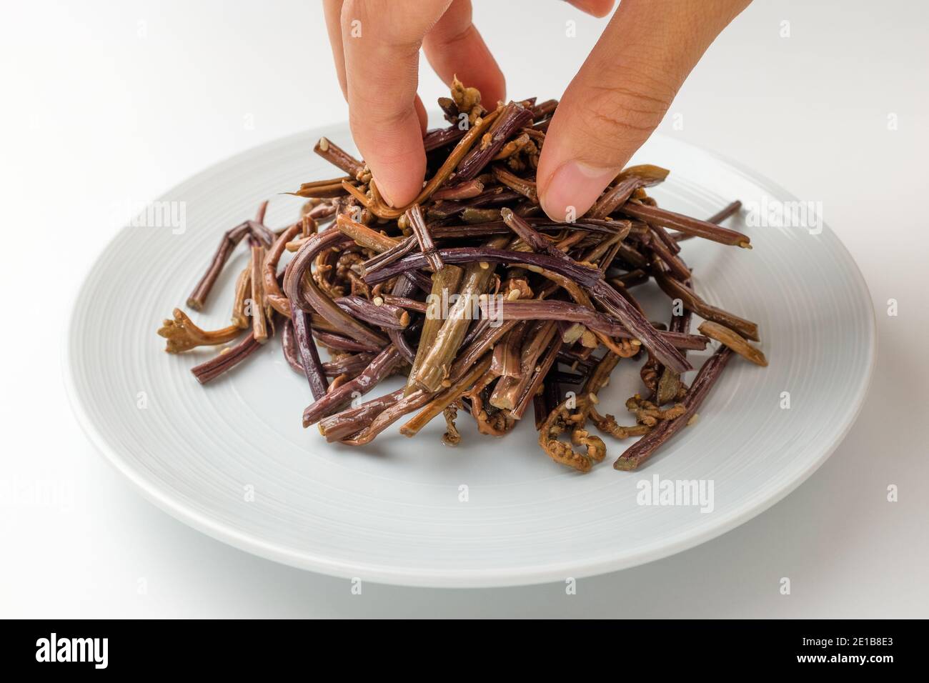 Fern herbs on a white background Stock Photo - Alamy