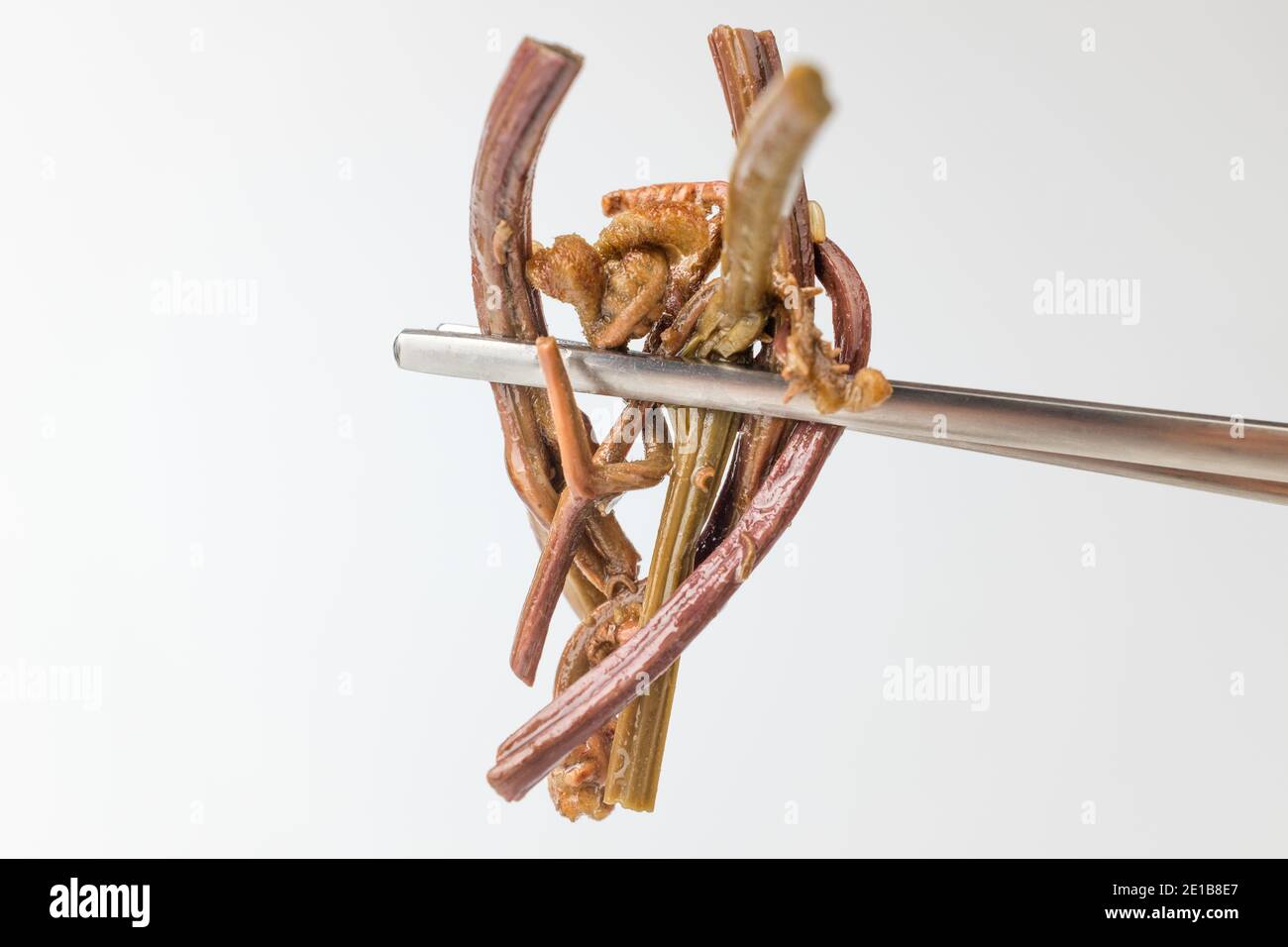 Fern herbs on a white background Stock Photo - Alamy