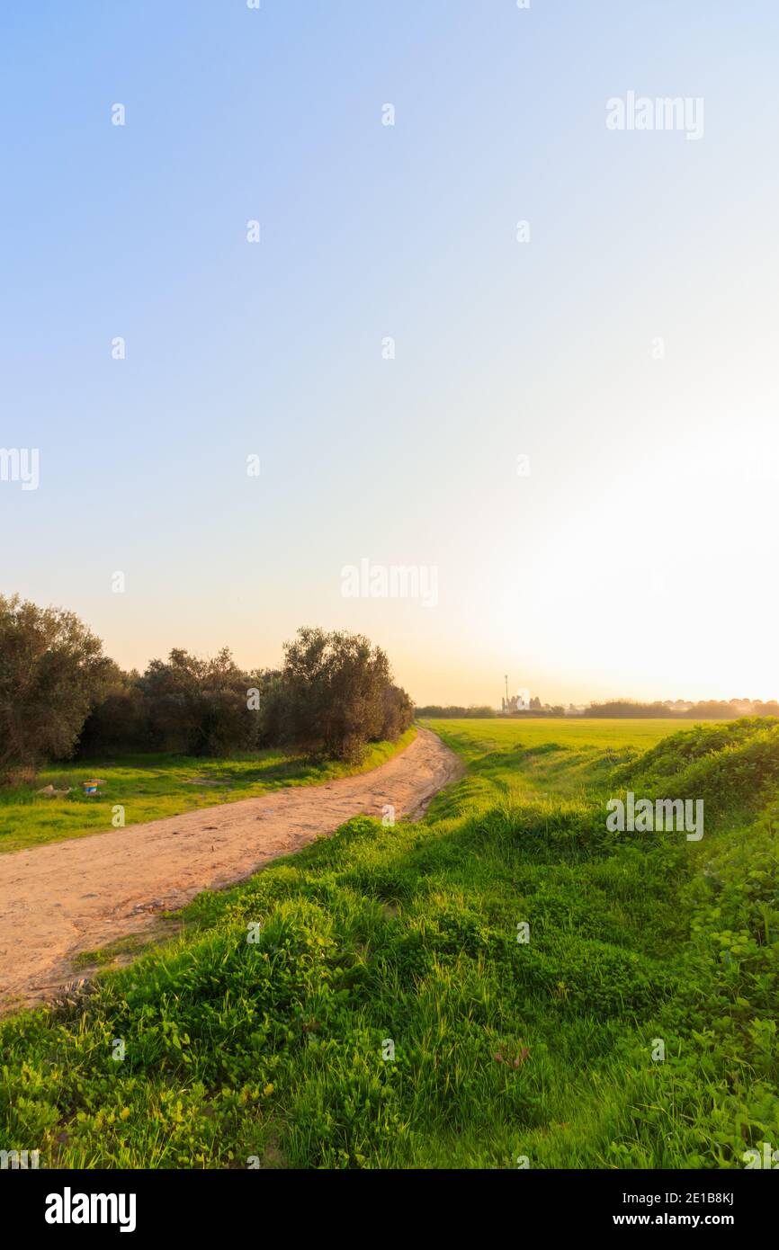 Israeli agriculture hi-res stock photography and images - Alamy