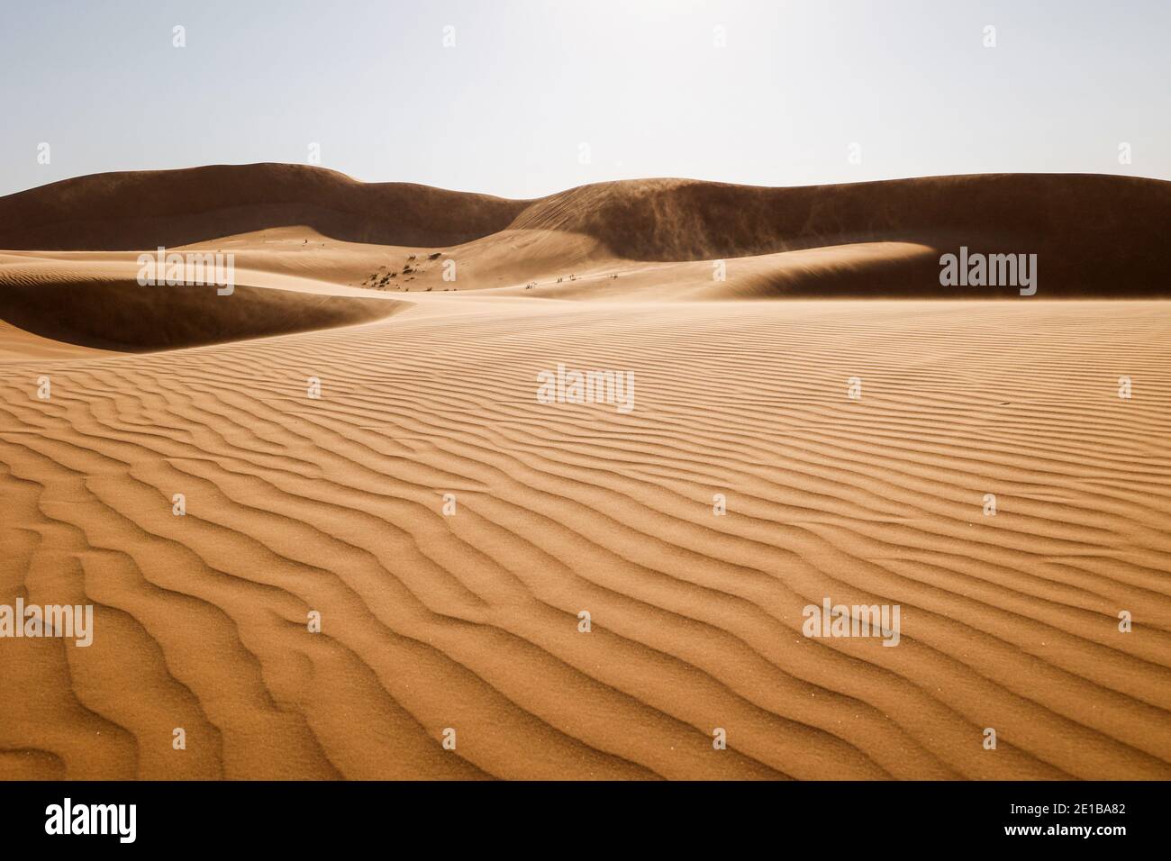 Landscape during the 3rd stage of the Dakar 2021 between Wadi Al ...