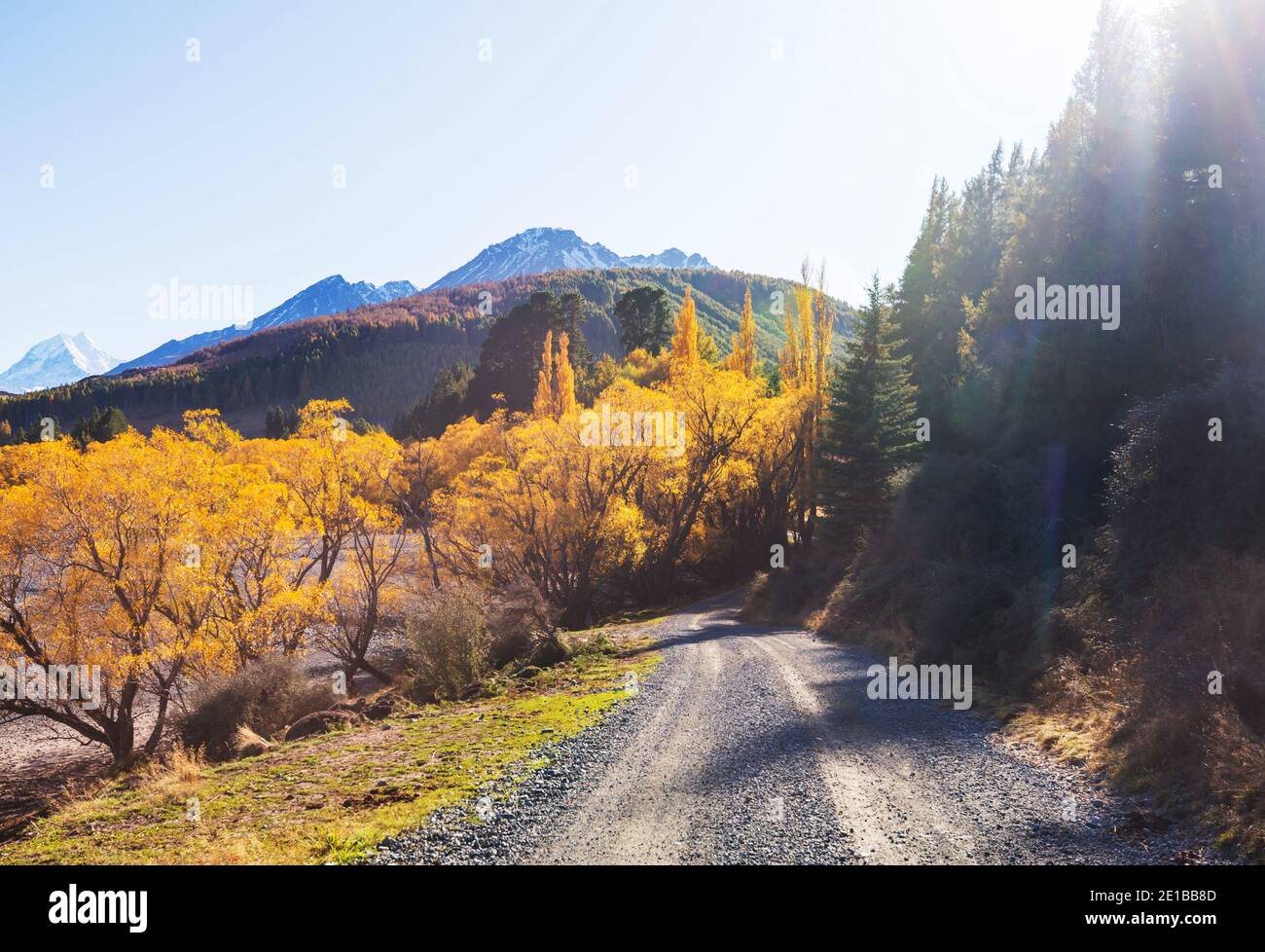 Autumn season in New Zealand mountains Stock Photo - Alamy