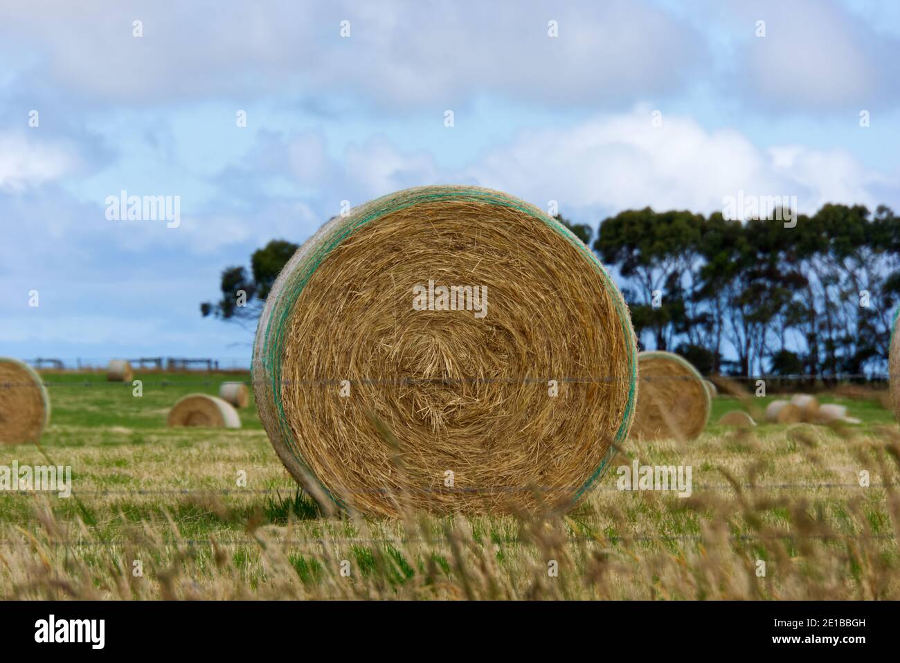 Baled barley field hi-res stock photography and images - Alamy