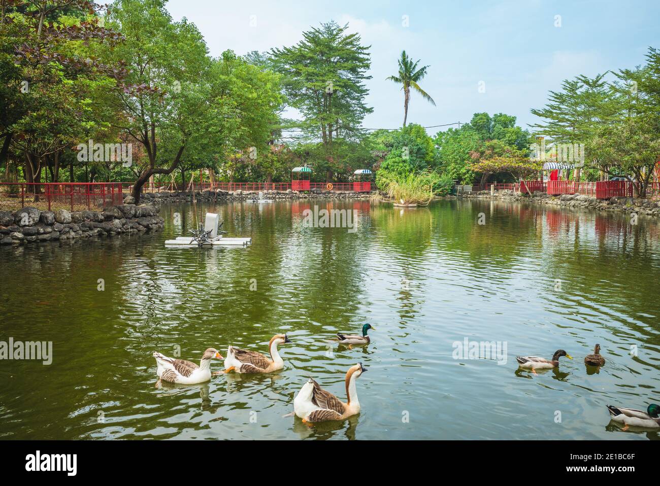 Carp lake taiwan hi-res stock photography and images - Alamy