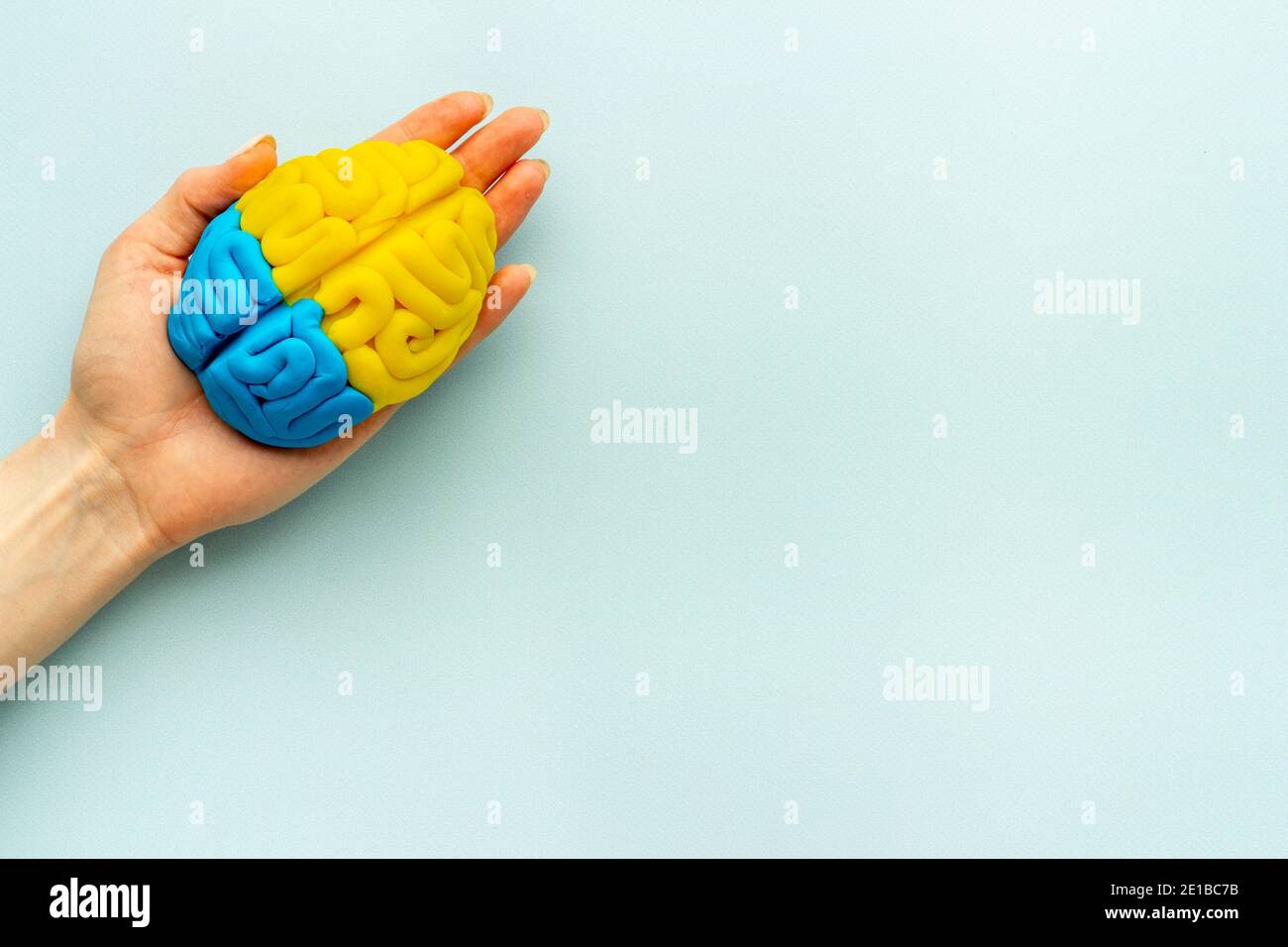 Idea concept. Use your brain. Model of clay in the hand, top view Stock ...