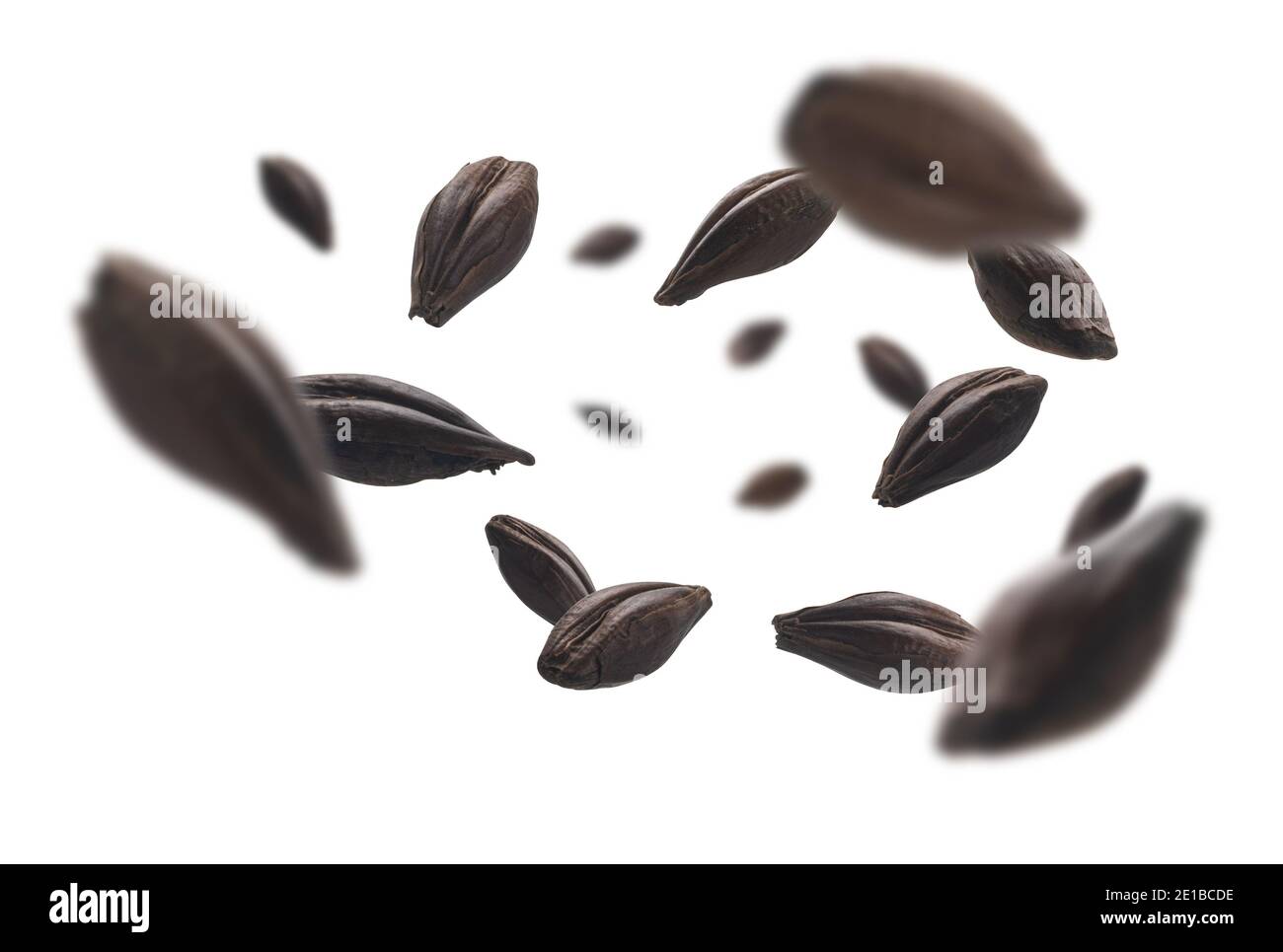 Roasted rye malt grains levitate on a white background Stock Photo - Alamy