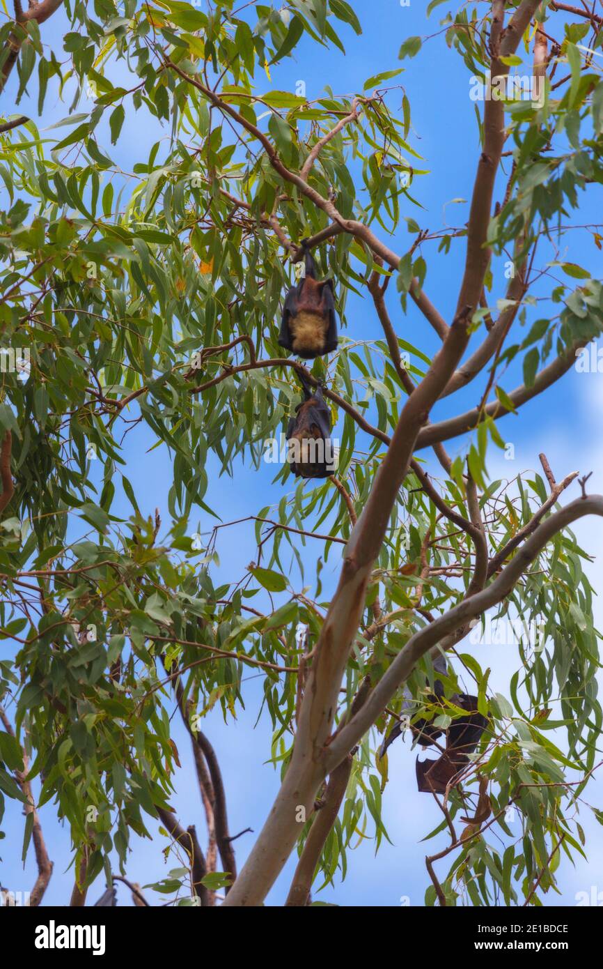 Tonga island sunrise hi-res stock photography and images - Alamy