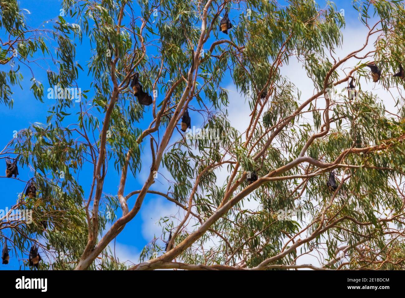 Tonga island sunrise hi-res stock photography and images - Alamy
