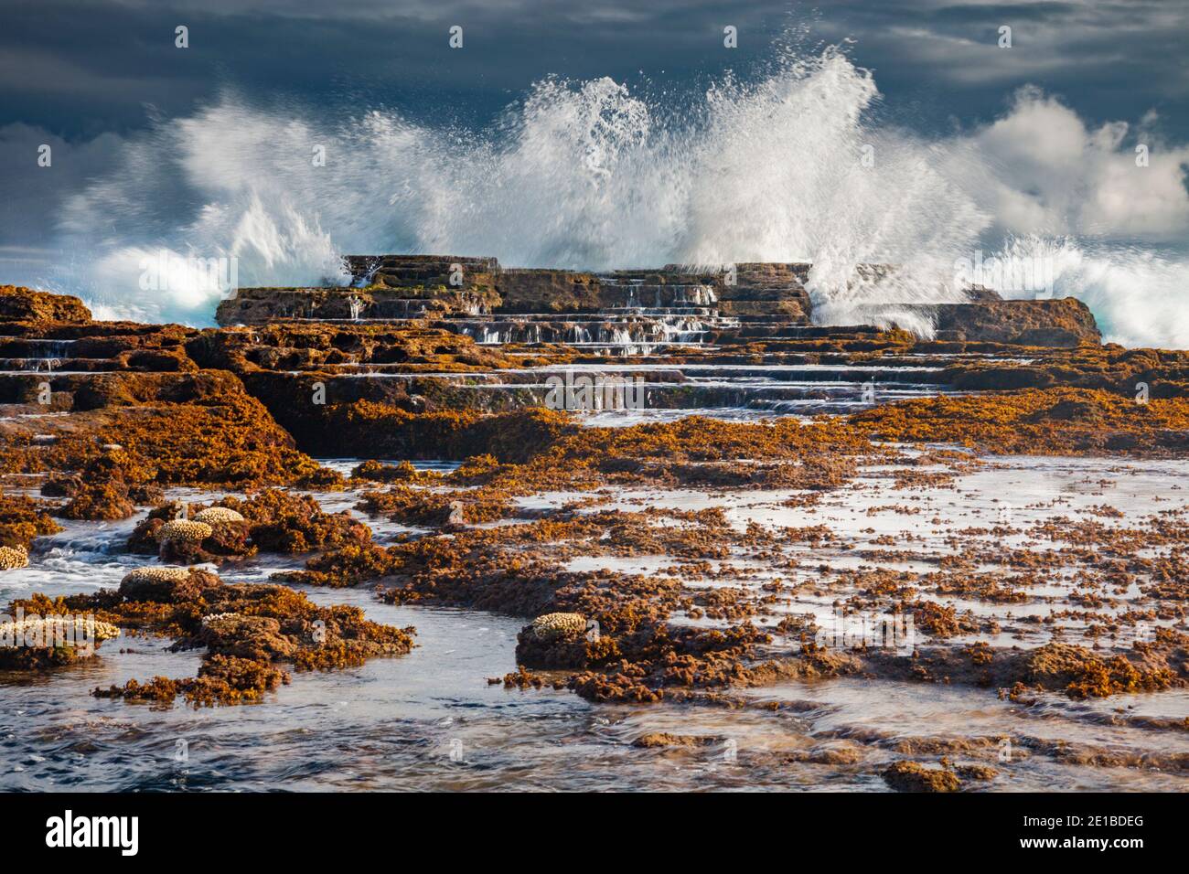 Tongatapu island hi-res stock photography and images - Alamy
