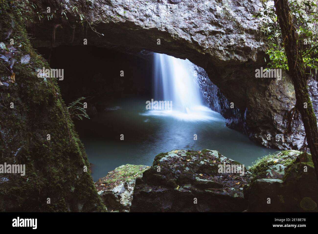 Waterfalls in Springbrook National Park. Queensland, Australia Stock ...