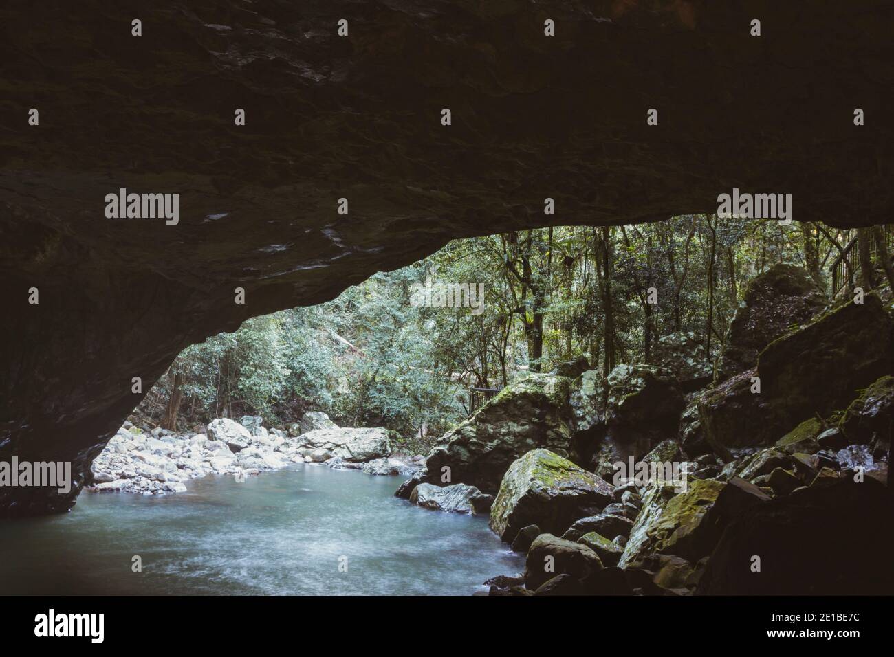 Waterfalls in Springbrook National Park. Queensland, Australia Stock ...