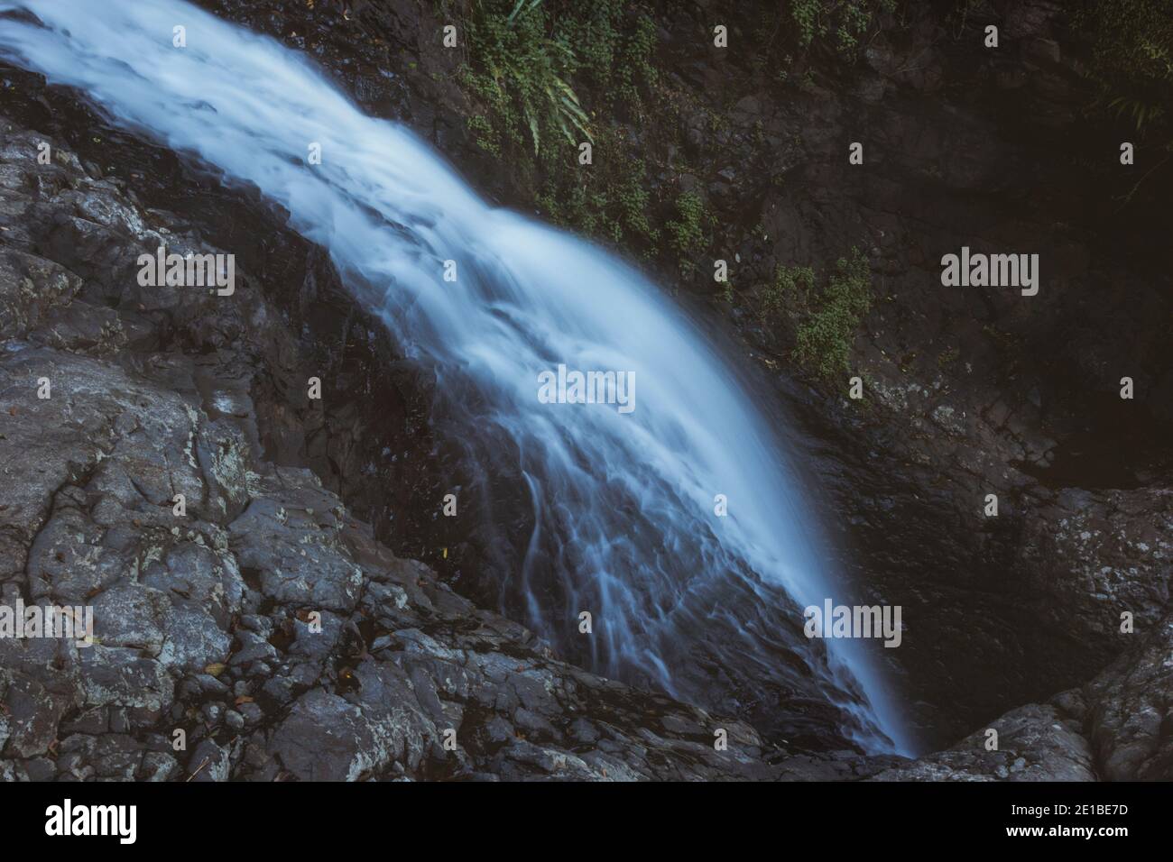 Waterfalls in Springbrook National Park. Queensland, Australia Stock ...