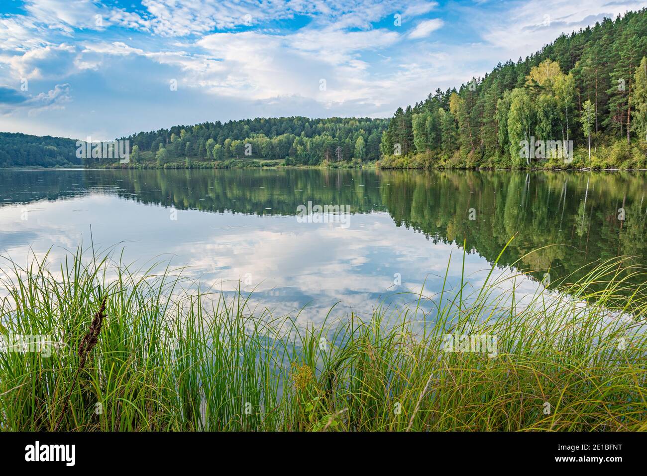 Reflection of trees in mirror of lake Stock Photo - Alamy