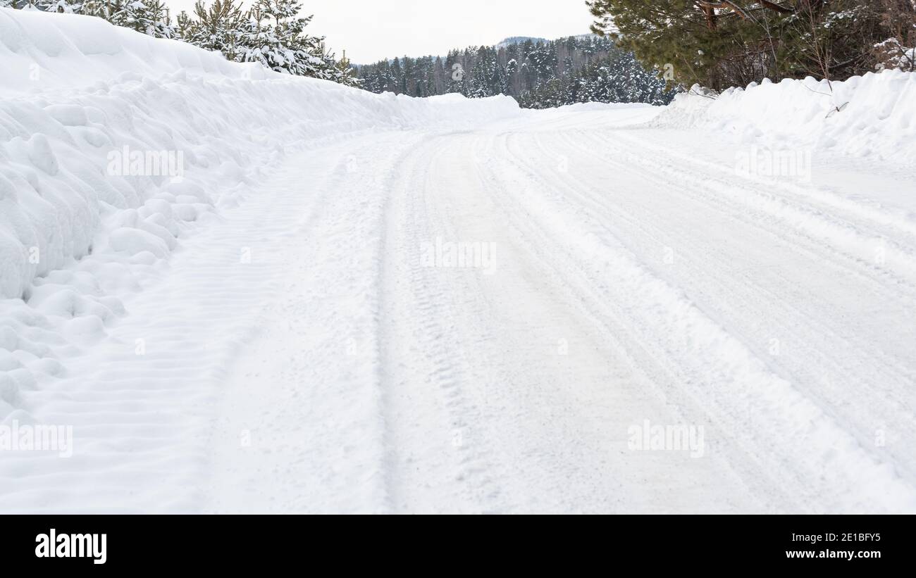 Snow road in winter pine forest. Ice and snowstorm on a country road ...