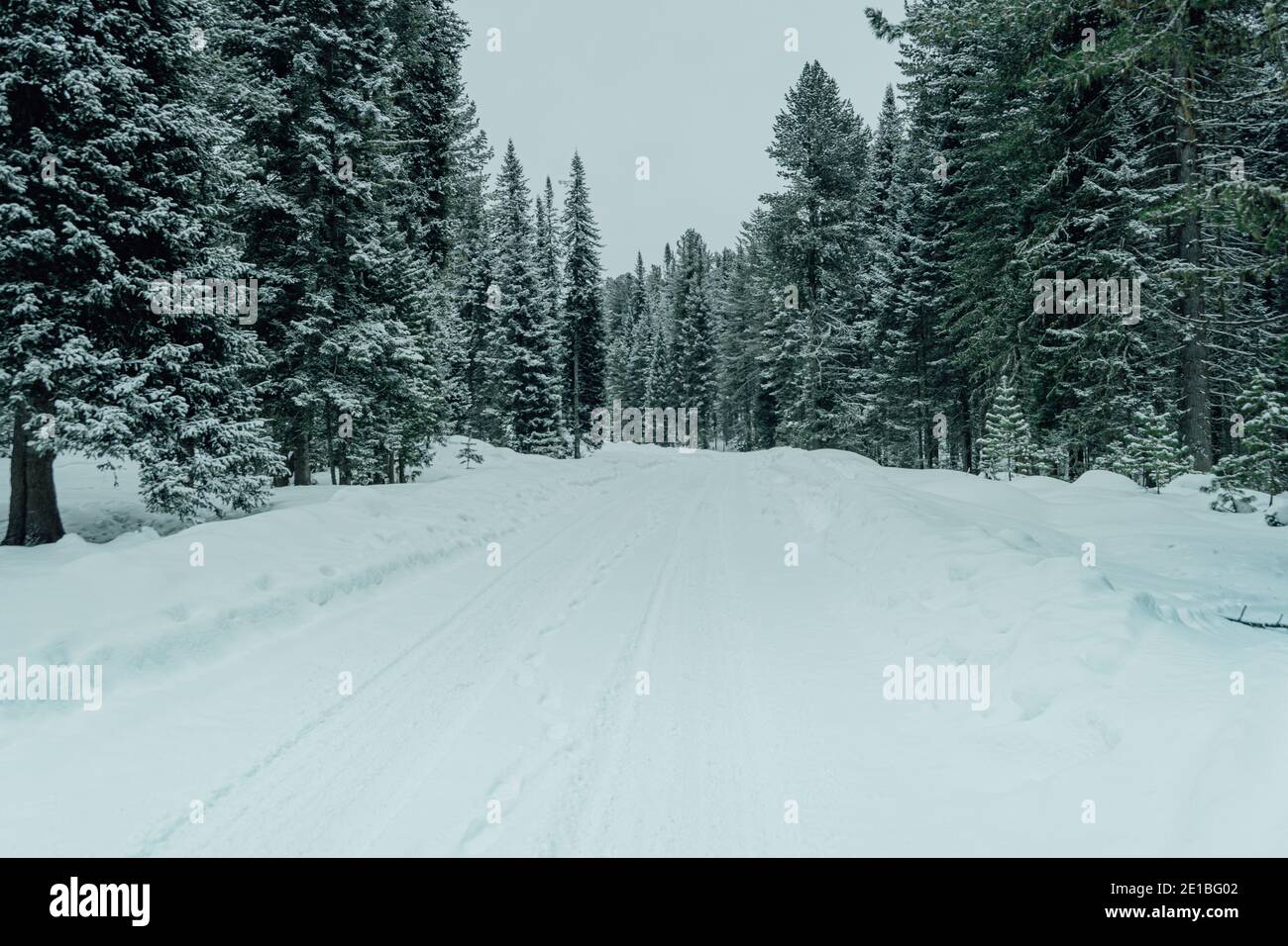 Ice blizzard road hi-res stock photography and images - Alamy