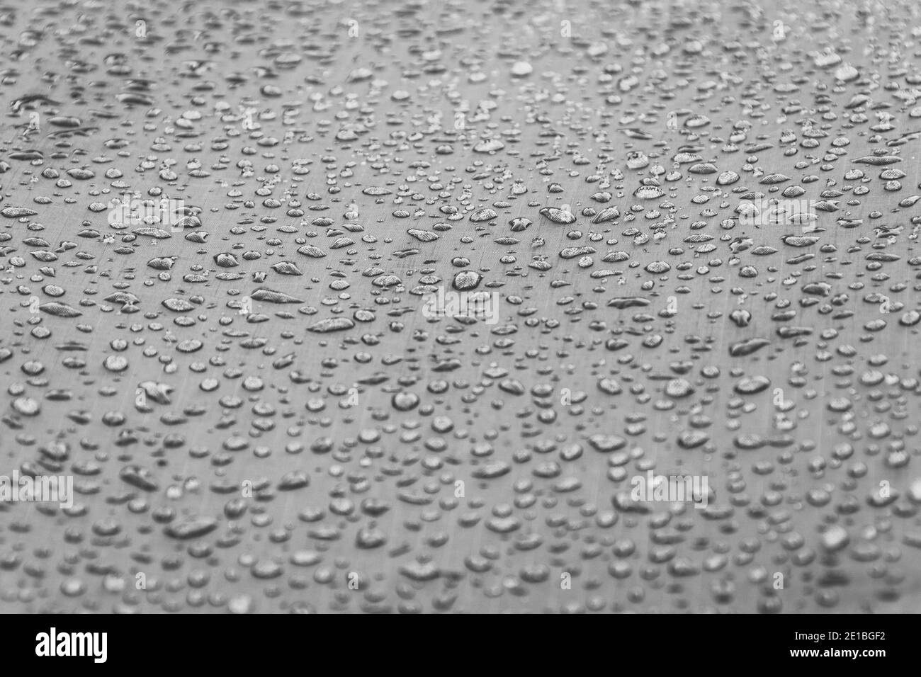 Water droplet fabric hi-res stock photography and images - Alamy