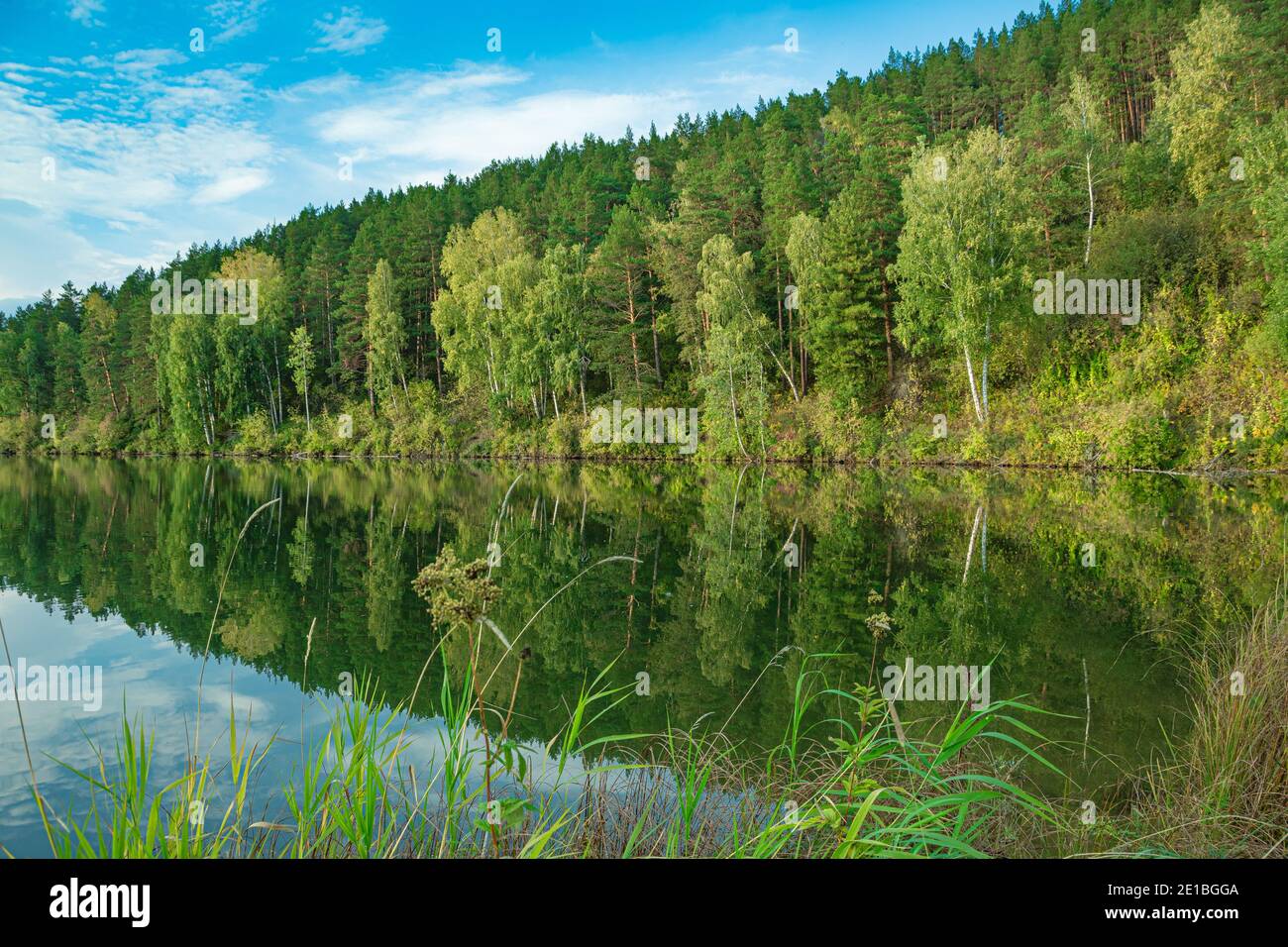 Reflection of trees in mirror of lake Stock Photo - Alamy