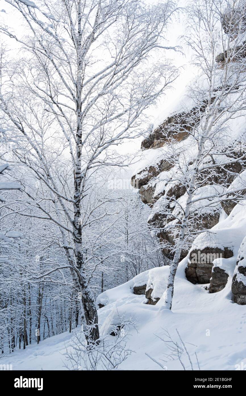 Land white hi-res stock photography and images - Alamy