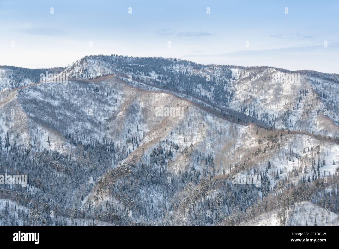 Gentle slopes of forest hills are covered with first snow. View of ...
