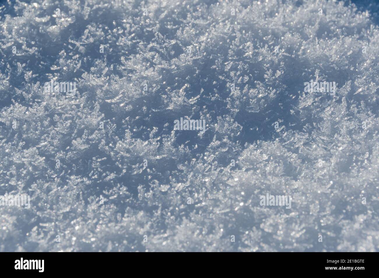 Fresh white snow and frost background structure Stock Photo - Alamy