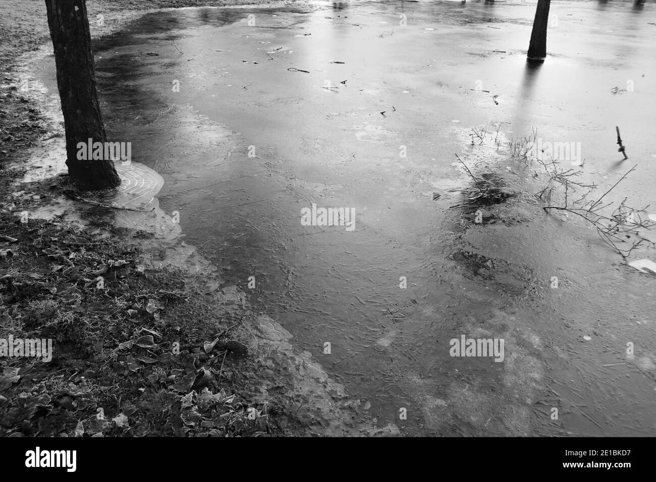close up black and white image of frozen water patch in public park ...