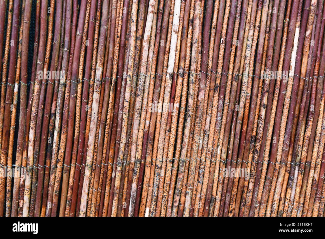 Texture of a fence made of sticks Stock Photo - Alamy