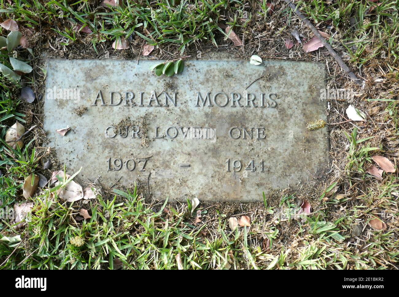 Los Angeles, California, USA 5th January 2021 A general view of ...