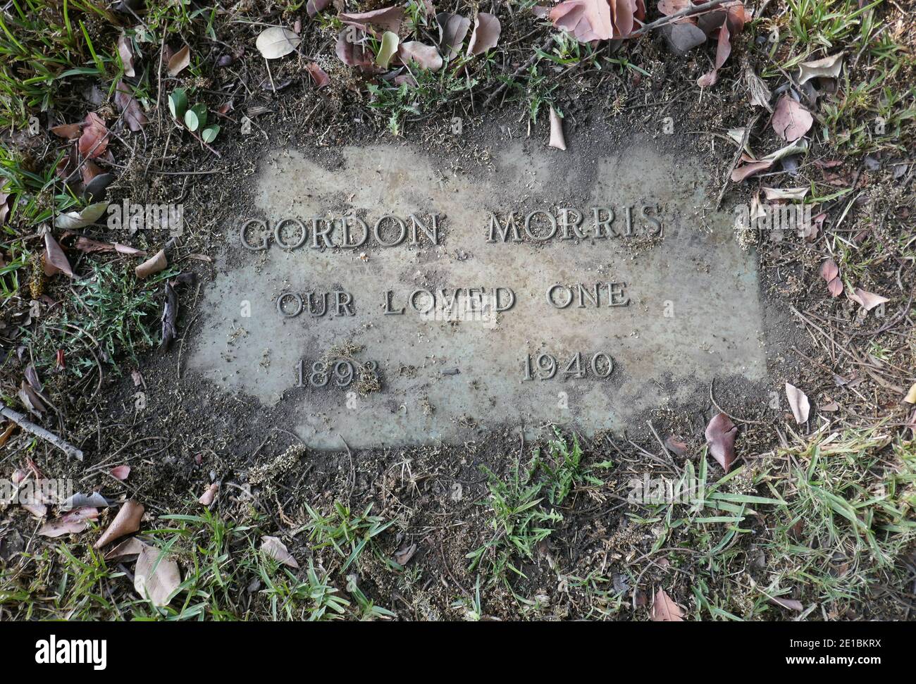 Los Angeles, California, USA 5th January 2021 A general view of ...