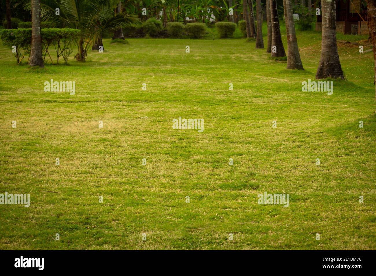 Beautiful lawn for recreation activities. Landscaped grass area in a ...