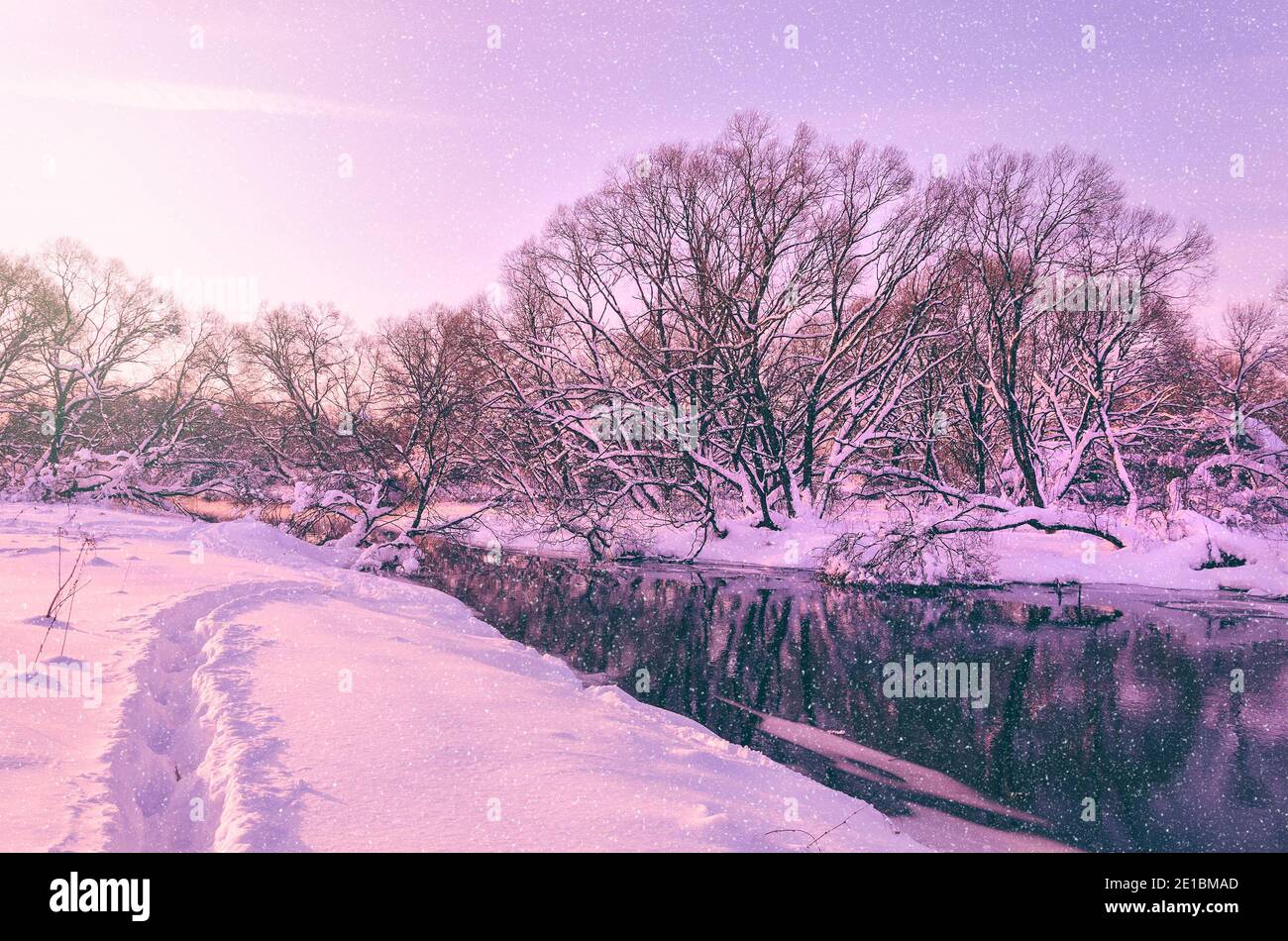 Pink Night Sky With Winter Snow Night Sky Photos | Dream Come True