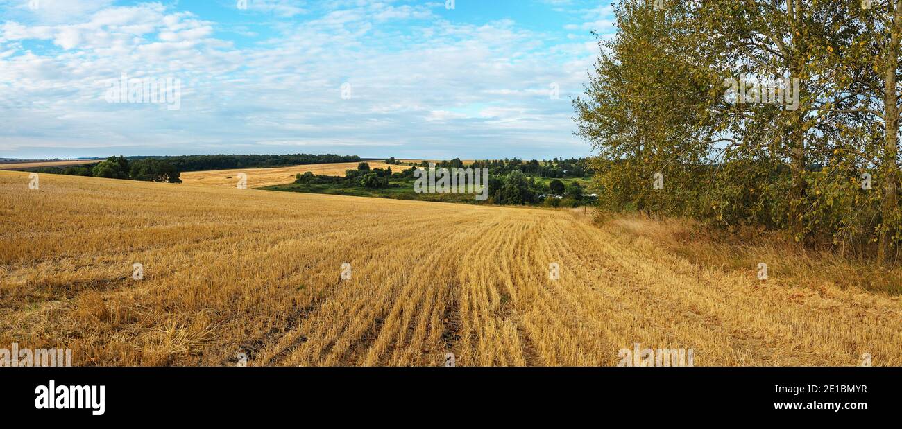 Rural landscape with empty farm field after harvesting Stock Photo - Alamy
