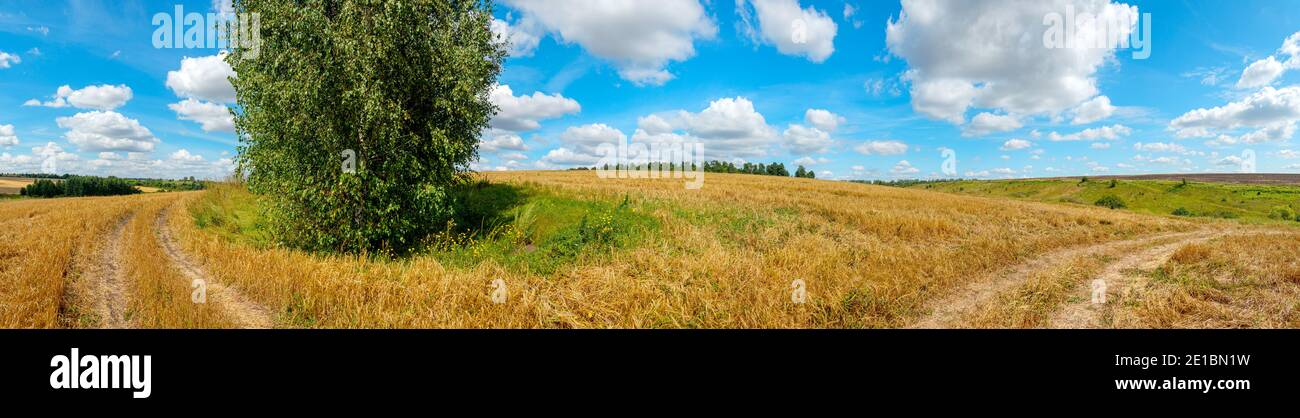 Sunny summer panoramic landscape with farm fields Stock Photo - Alamy