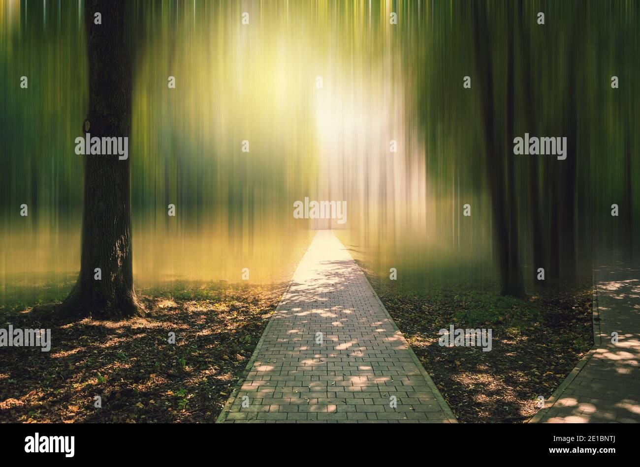 Blurred trees landscape hi-res stock photography and images - Alamy