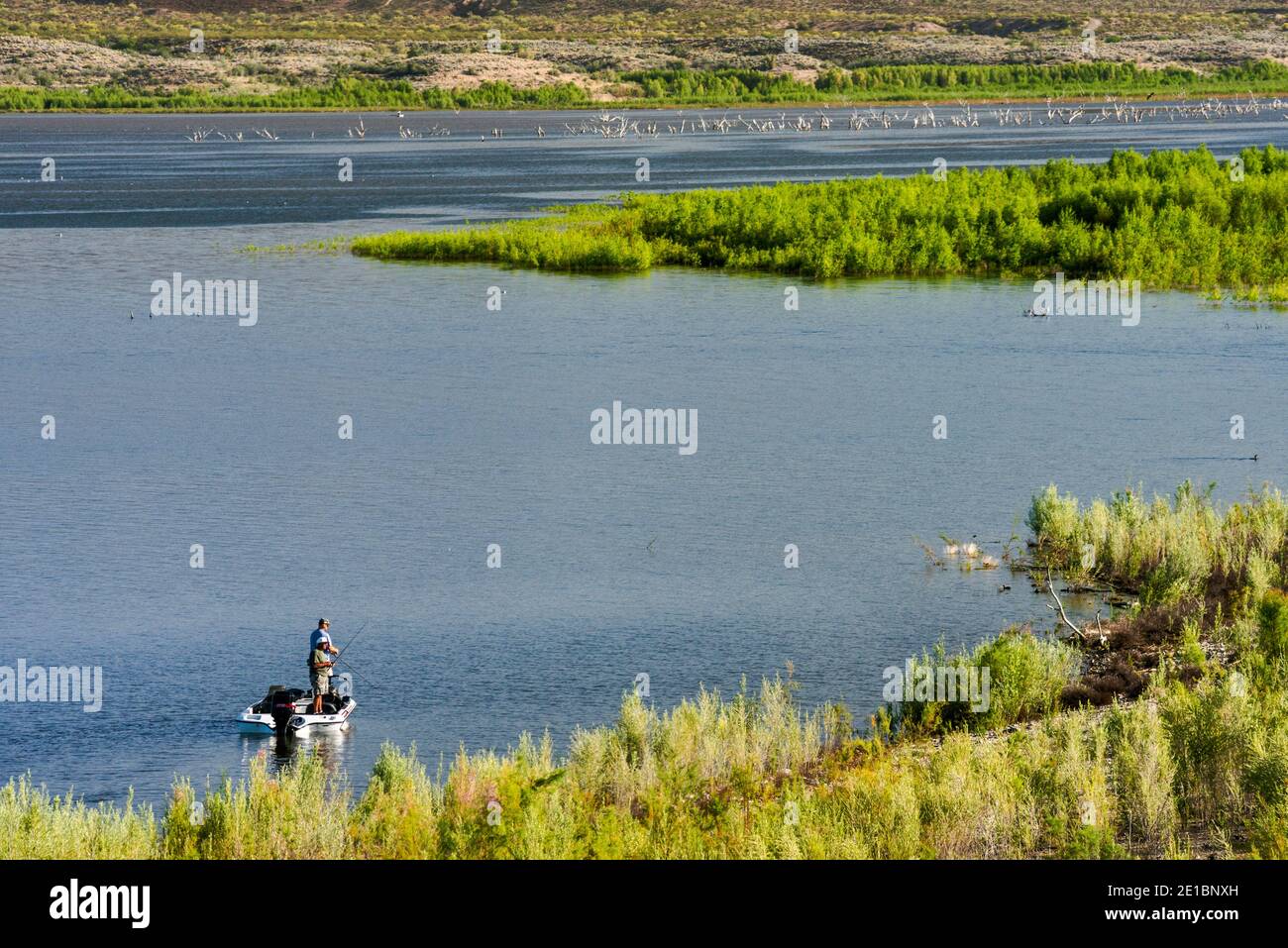 Fishing boat, Alamo Lake State Park, Arizona, USA Stock Photo - Alamy