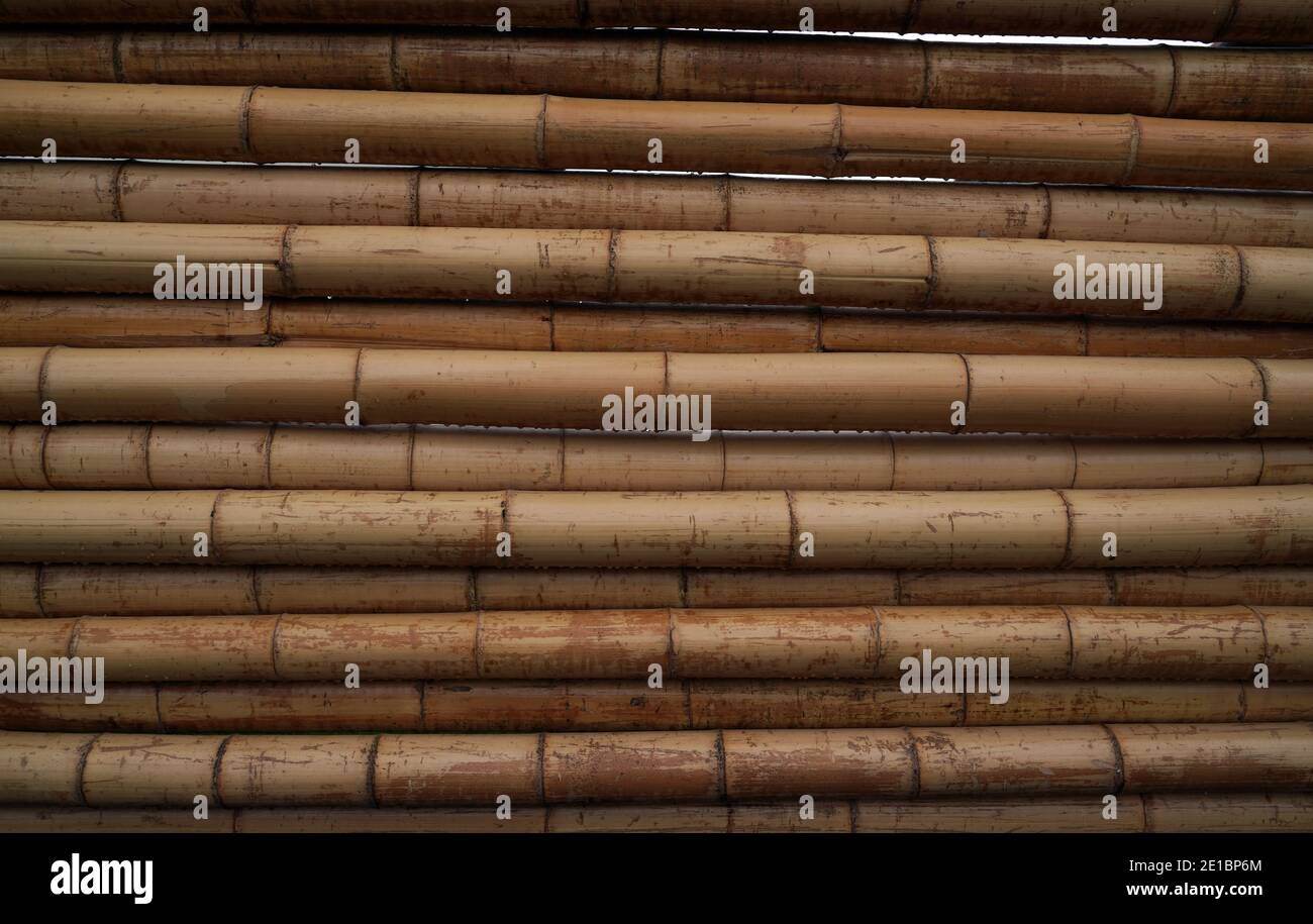 Fence made from bamboo pipes Stock Photo - Alamy
