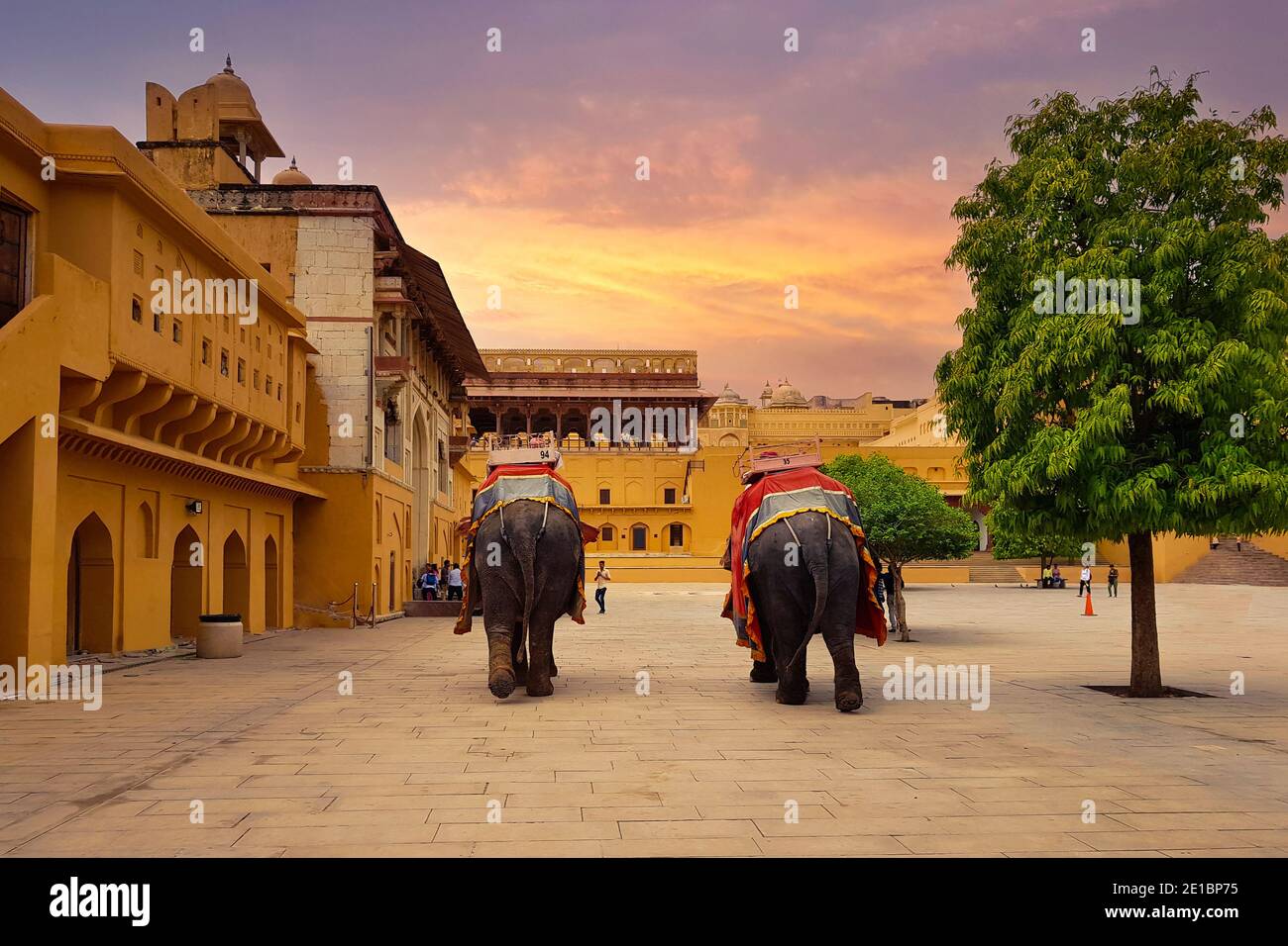 Elephant ride inside Amber fort premises, Jaipur, Rajasthan Stock Photo ...