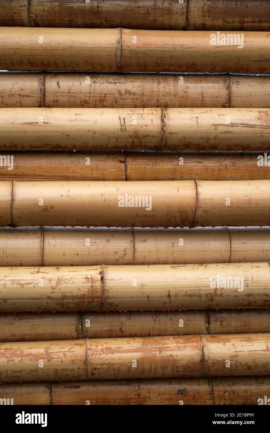 Fence made from bamboo pipes Stock Photo - Alamy