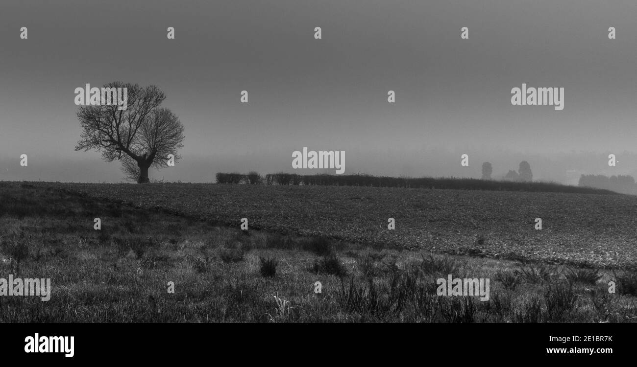 Pre dawn Black and White Stock Photos & Images - Alamy