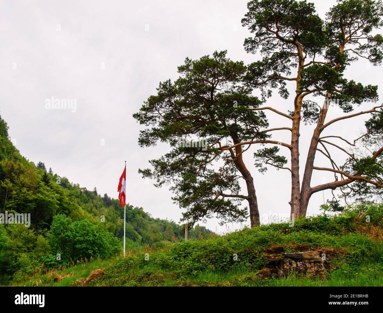 Ruetli, Switzerland: famous meadow of the federal pact with the ...
