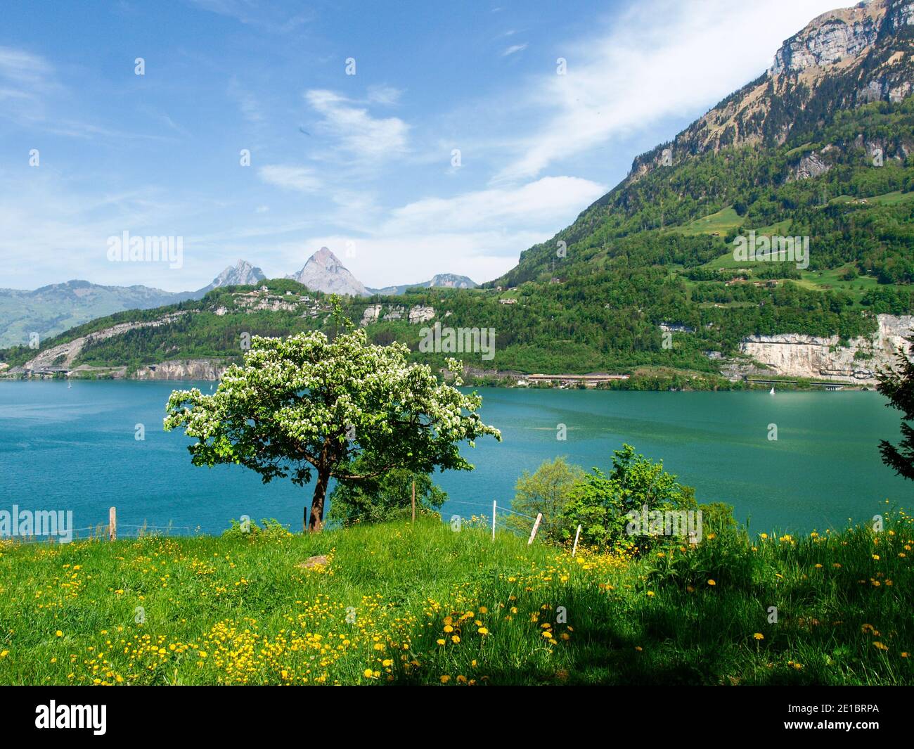 Ruetli meadow hi-res stock photography and images - Alamy