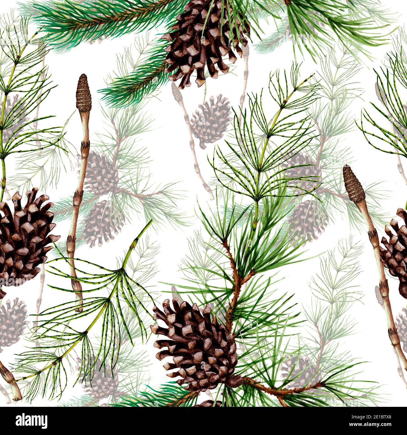 Hand drawing forest hi-res stock photography and images - Alamy