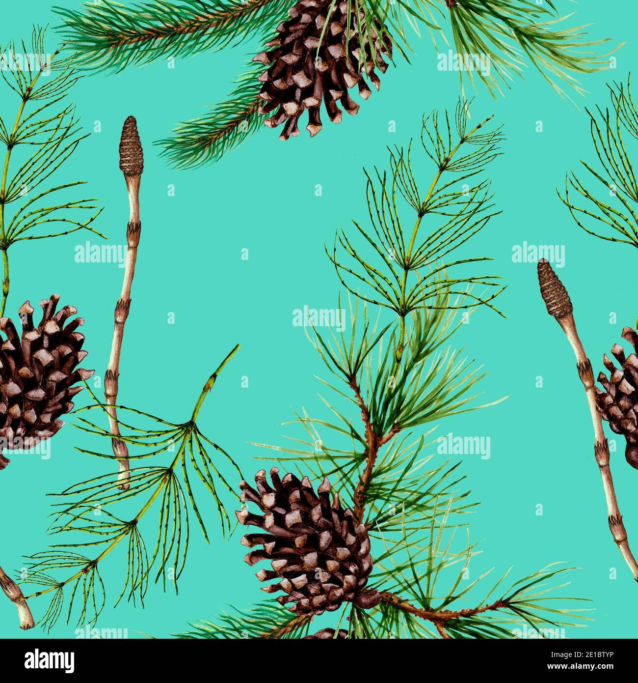 Hand drawing forest hi-res stock photography and images - Alamy